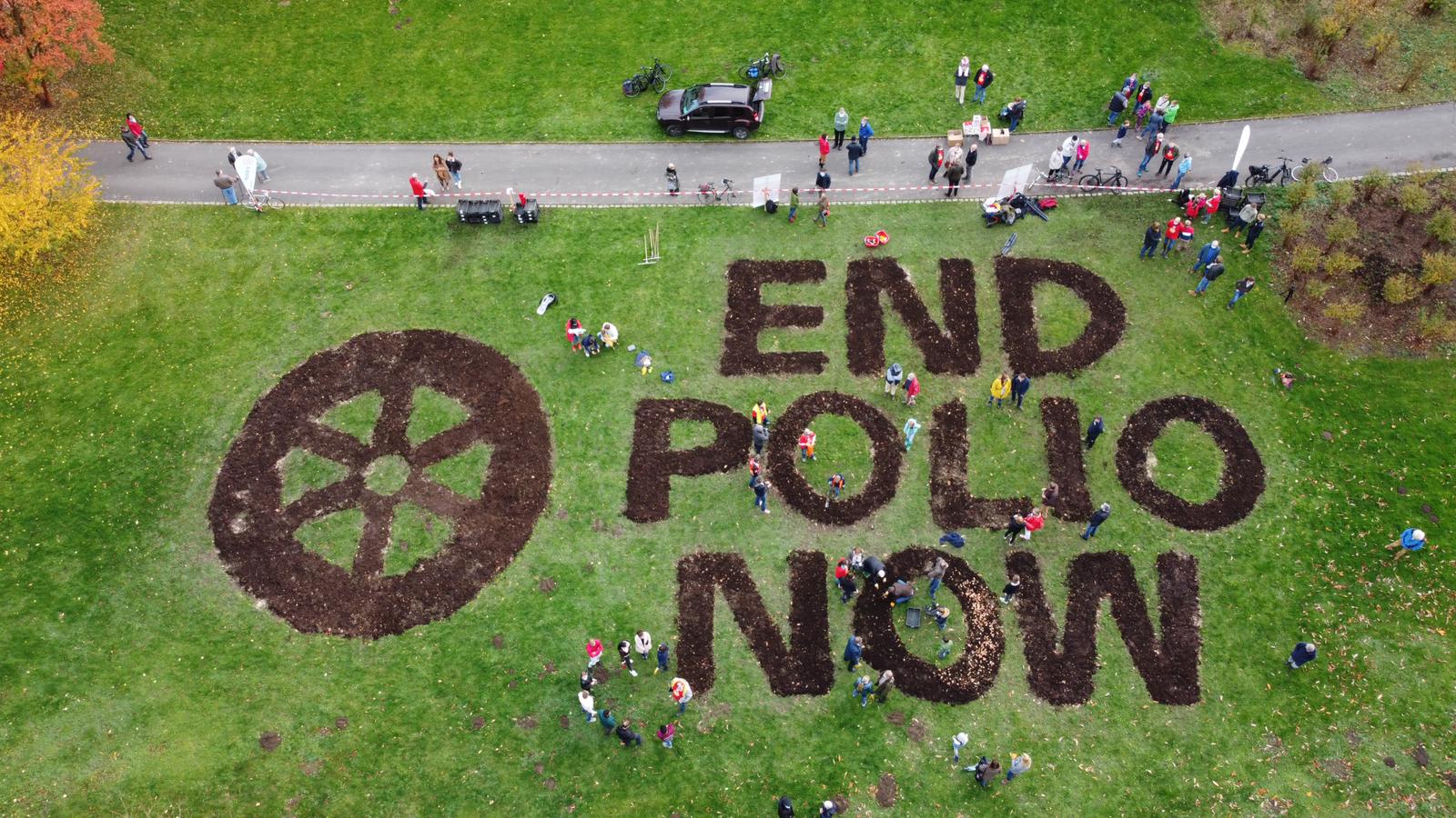 Flower Power im Distrikt 1900: Tulpenaktion gegen Polio - Rotaract Club ...